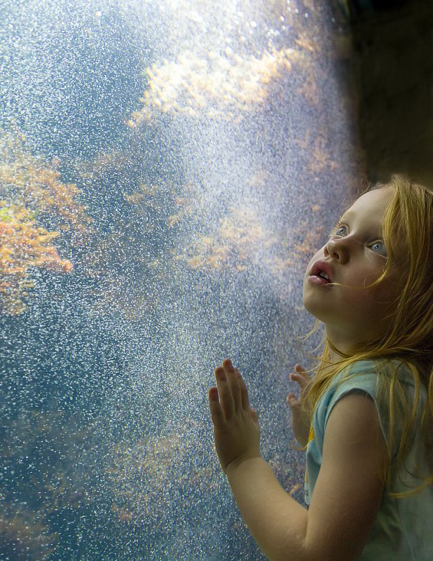 Riverhead Photo Club